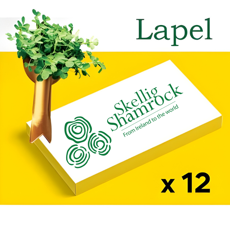 Buy Fresh Shamrock Online – Living Shamrock